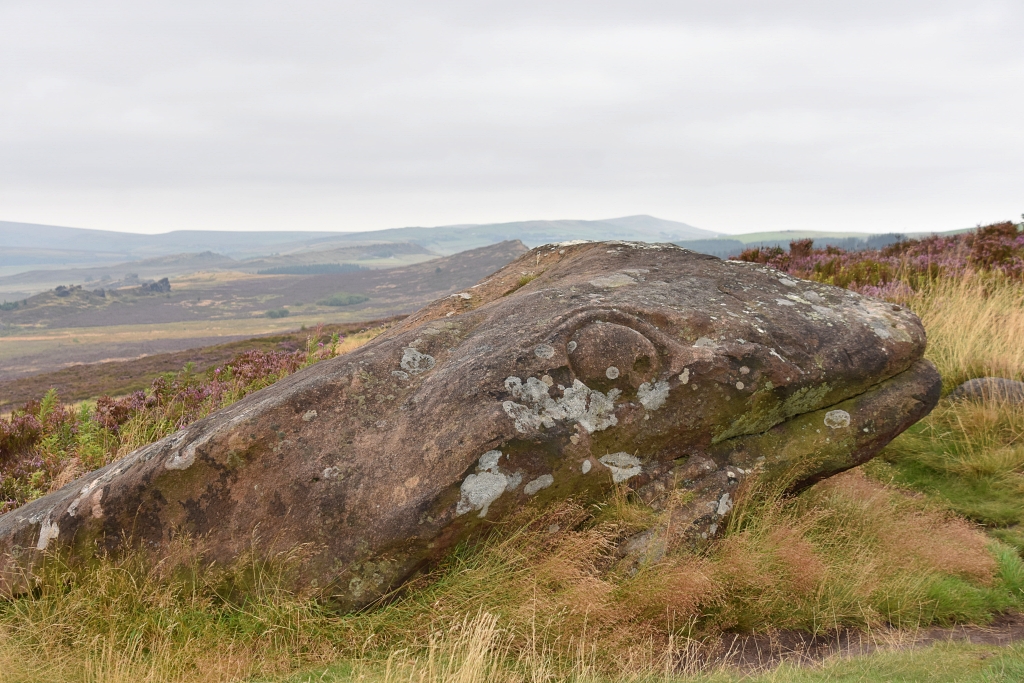 The Tank in the Moors: A Walk in Derbyshire to Spot an Abandoned Tank